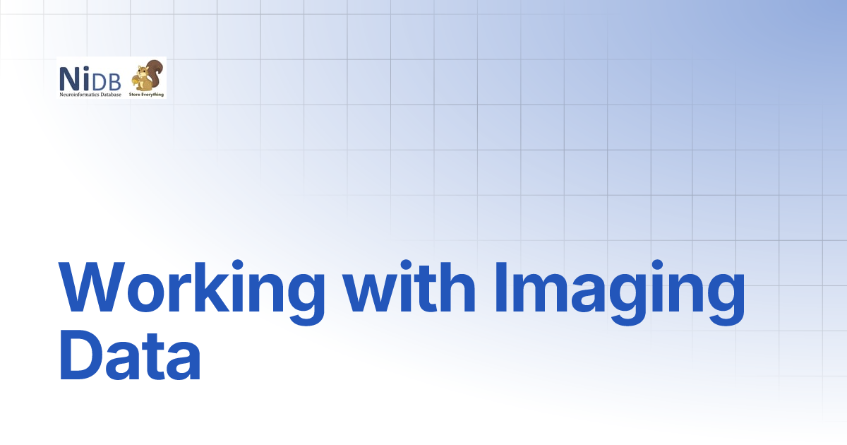 Working with Imaging Data | NiDB Documentation